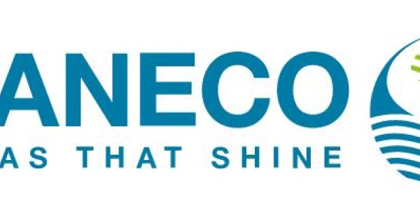Haneco