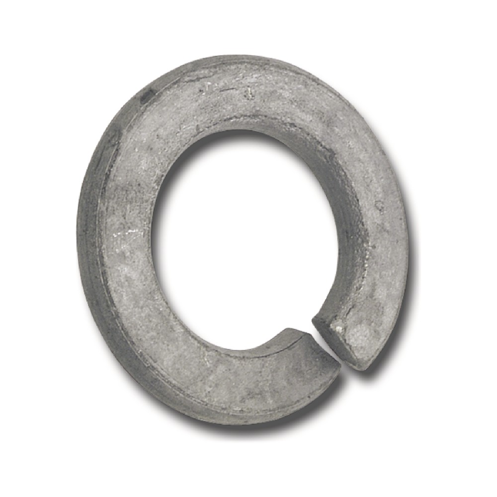 M16 Spring Washer Galvanized