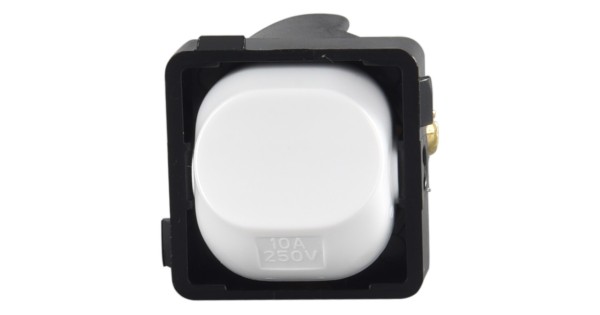 Switch Mech Switch 10A